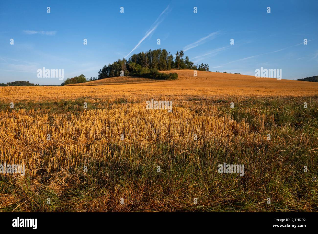 Sunrise and blue sky above small hill with forest surrounded by mowed ...