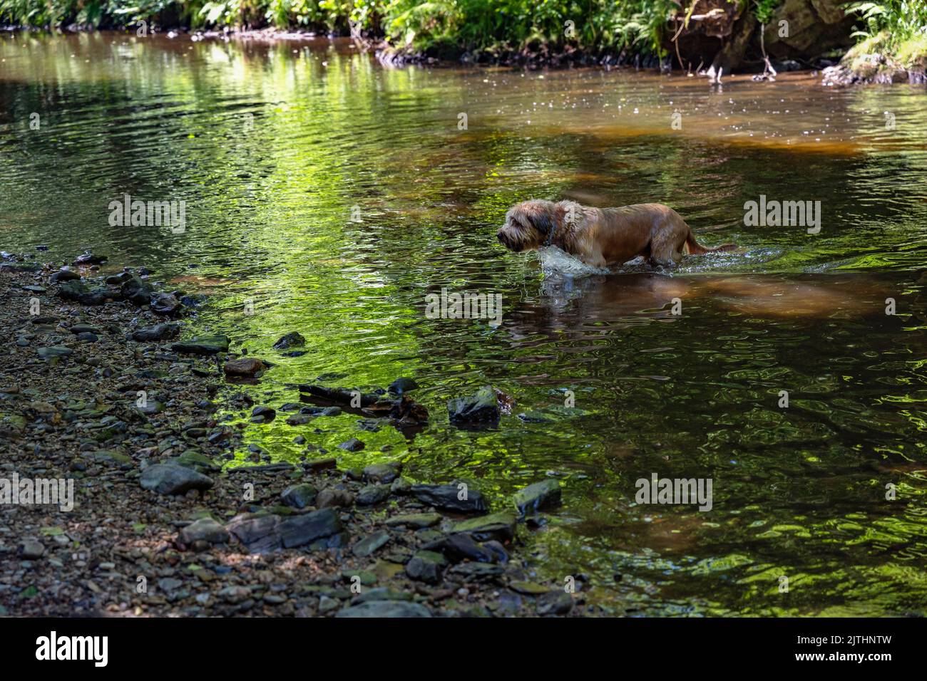 Running Out Of Water Lakes