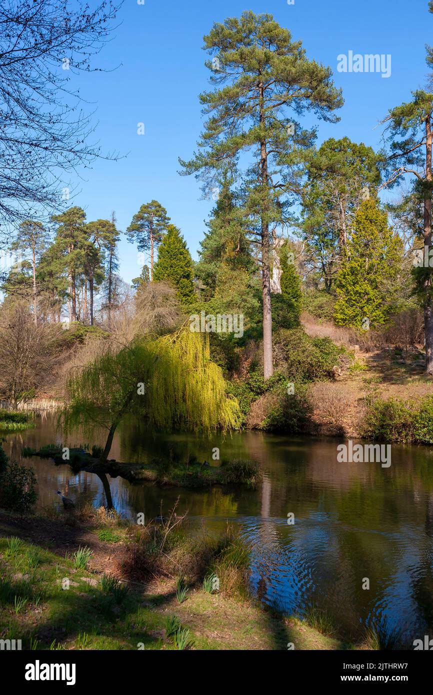 The Top Ponds at Leonardslee Gardens, West Sussex, England, UK, on a ...