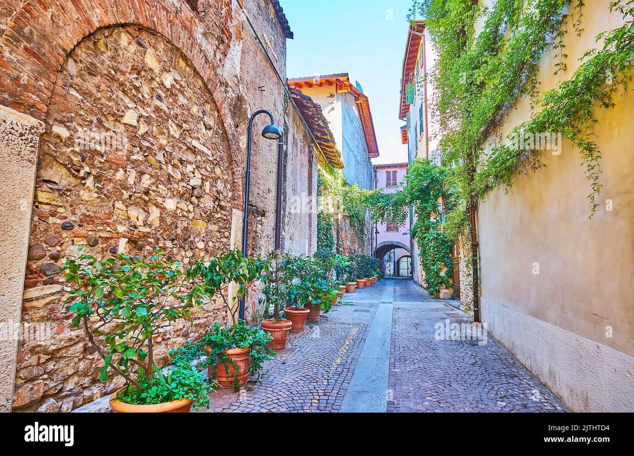 The stone houses and the line of green plants in pots on the Via Elia ...