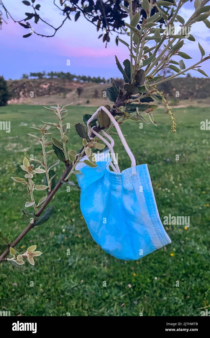 Mask hanging from tree hi-res stock photography and images - Alamy