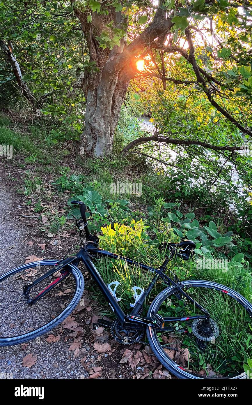 Specialized brand bike hi-res stock photography and images - Alamy