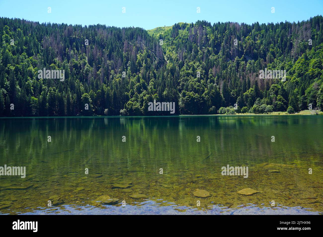 The lake feldsee hi-res stock photography and images - Alamy