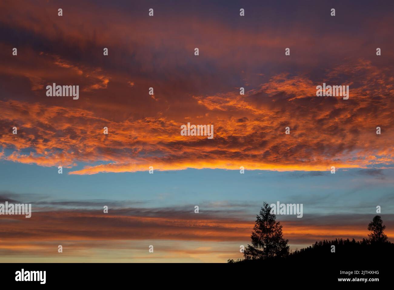 Dramatic sky silhouette trees hi-res stock photography and images - Alamy