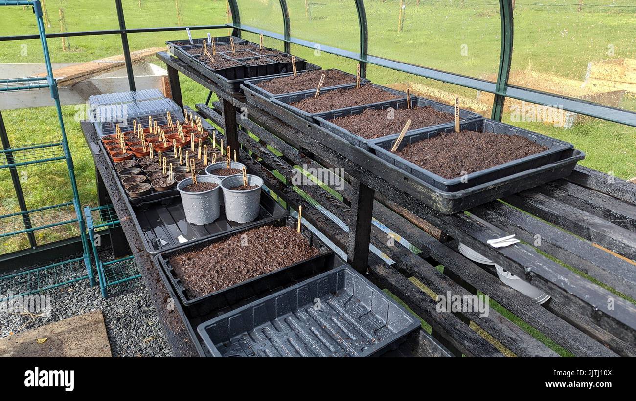 Wooden seed trays hi-res stock photography and images - Alamy