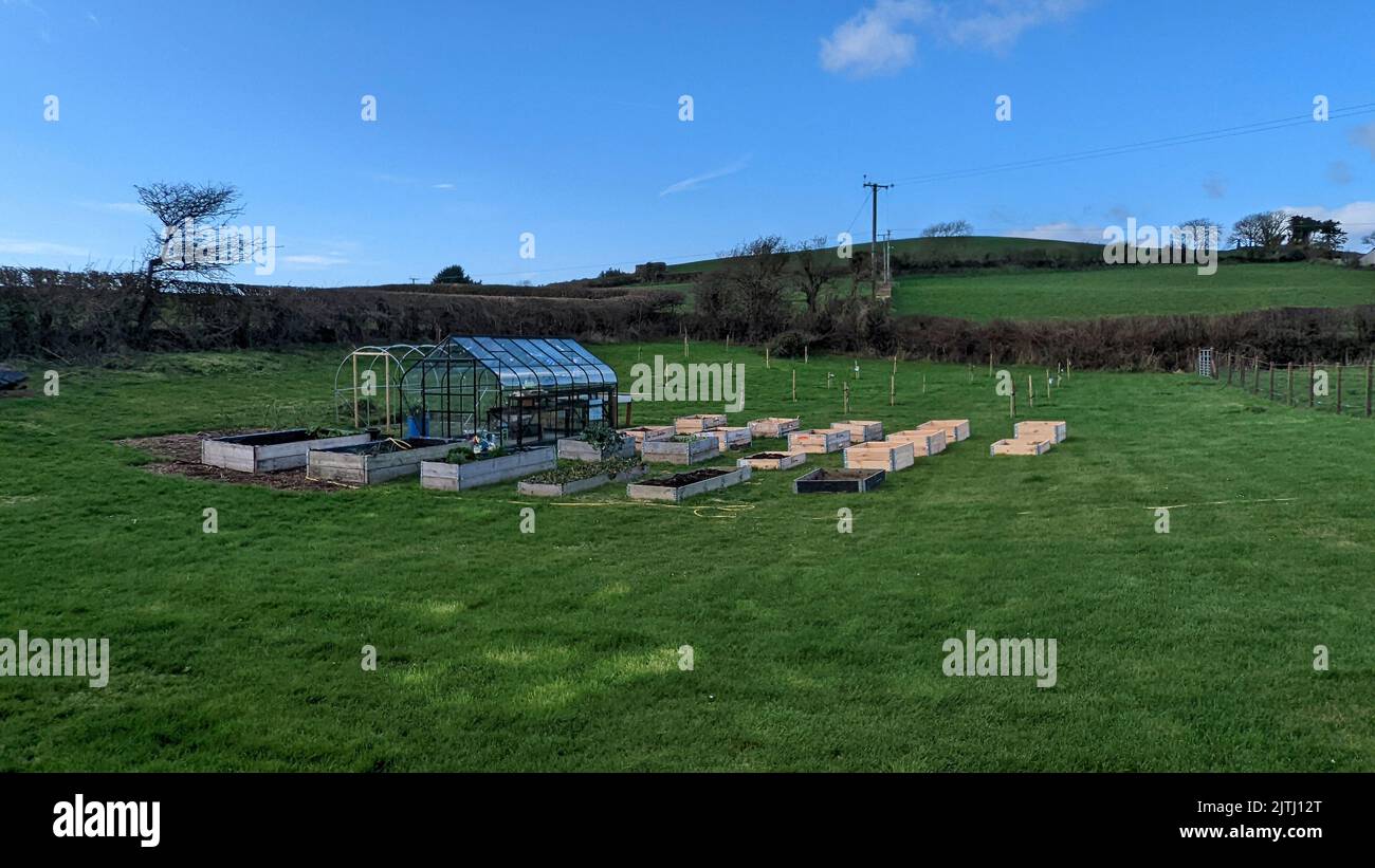 Raised beds and a greenhouse, with a newly planted orchard behind, in a ...