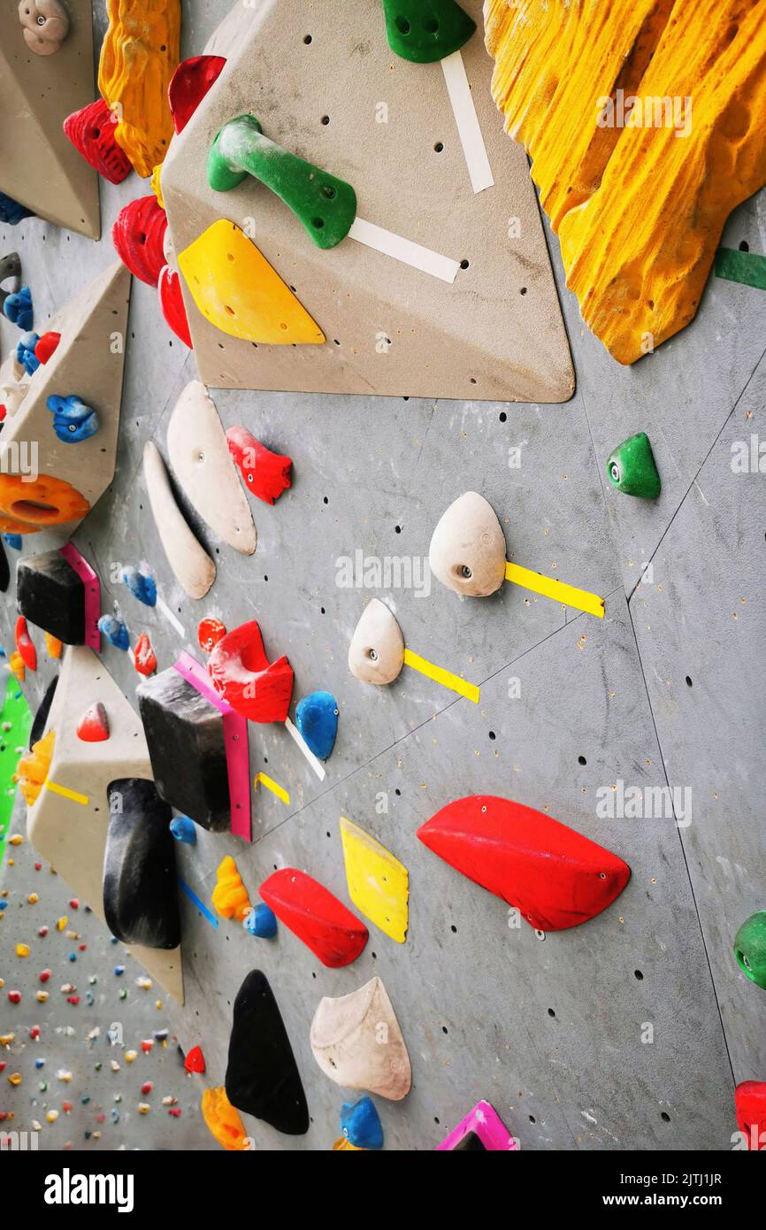 Artificial rock climbing bouldering wall showing various colored grips ...