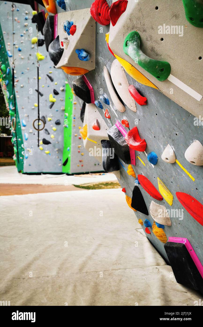 Artificial rock climbing bouldering wall showing various colored grips ...