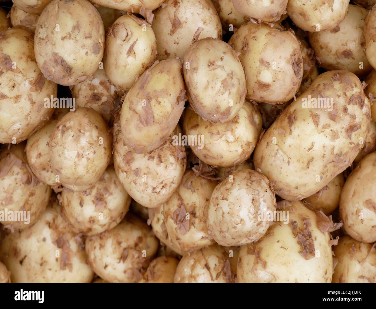 Potato potatoes new food organic hi-res stock photography and images ...