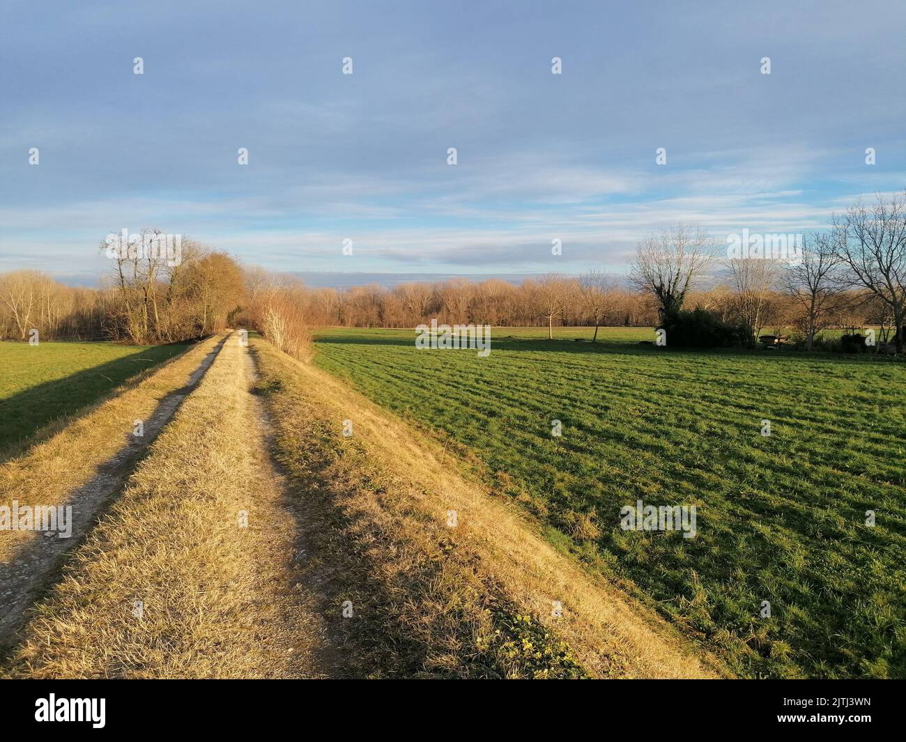 Nature, breathing clean air Stock Photo - Alamy