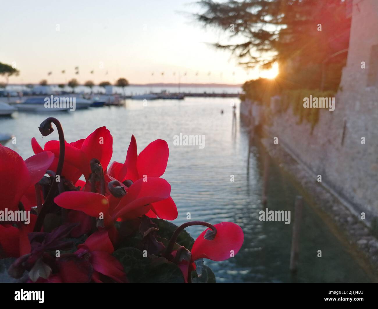 Nature, breathing clean air Stock Photo - Alamy