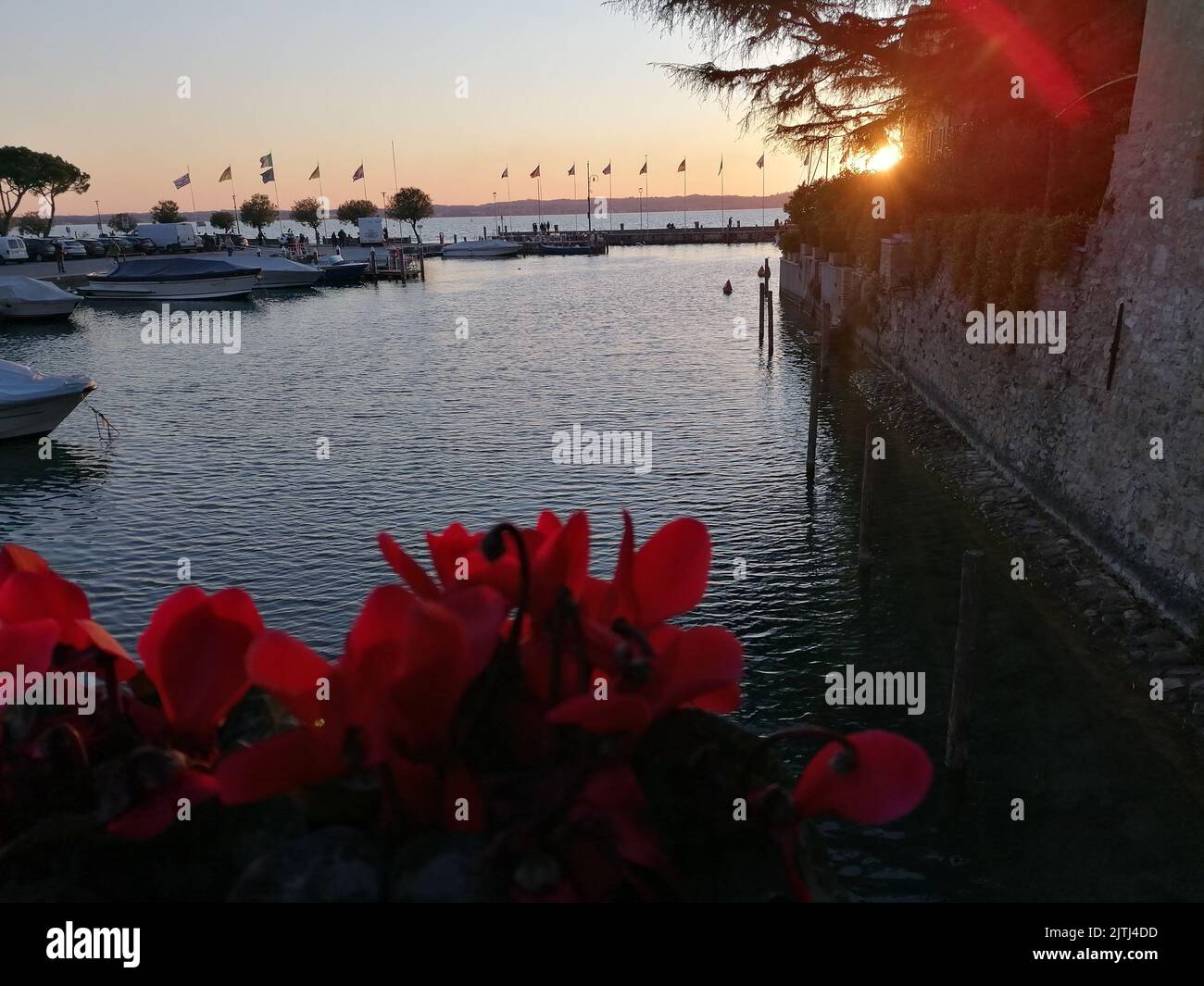 Nature, breathing clean air Stock Photo - Alamy