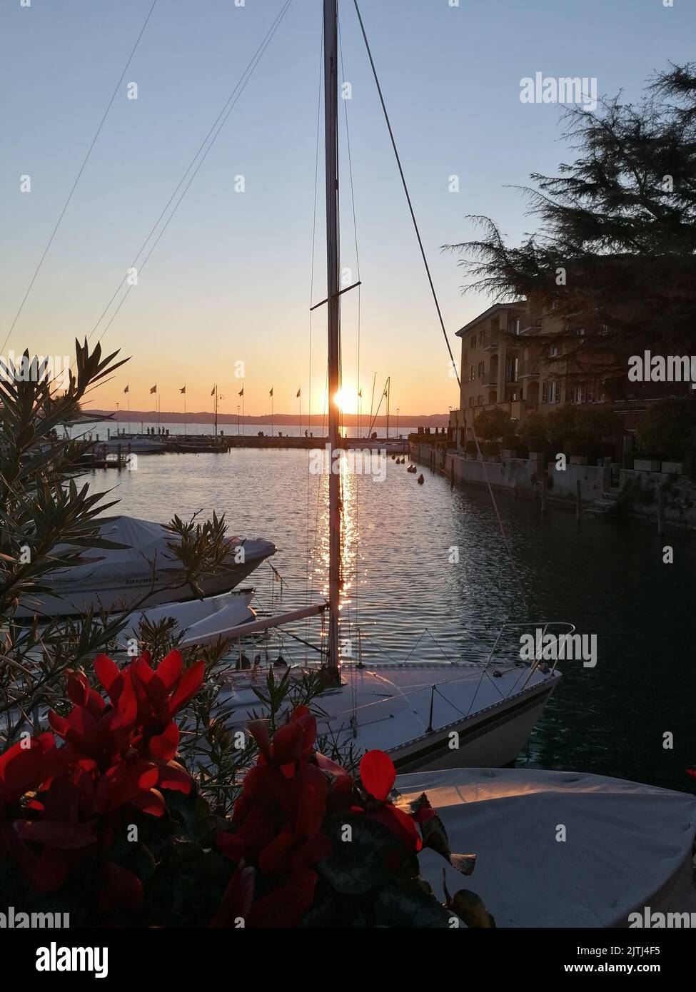 Nature, breathing clean air Stock Photo - Alamy
