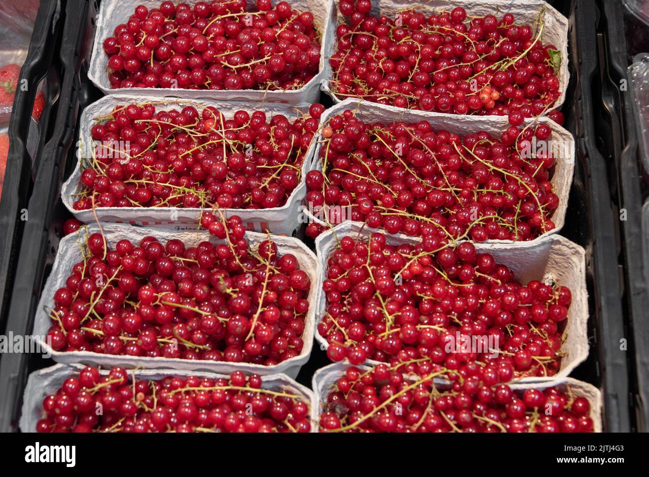 Red currants in paper boxes for sale at the market. Harvest berries on ...