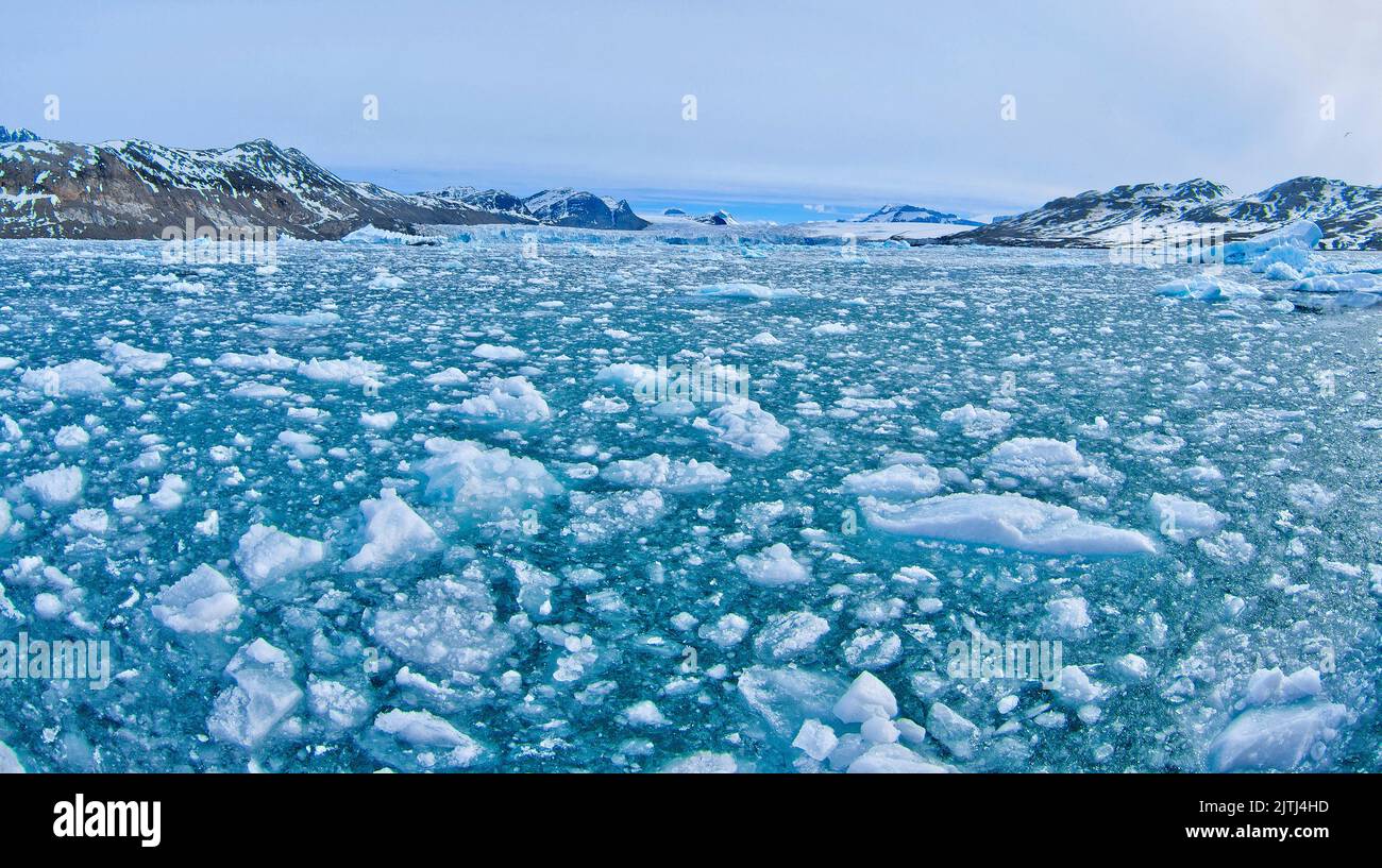 Drift floating Ice and Snowcapped Mountains, Iceberg, Ice Floes, Albert ...