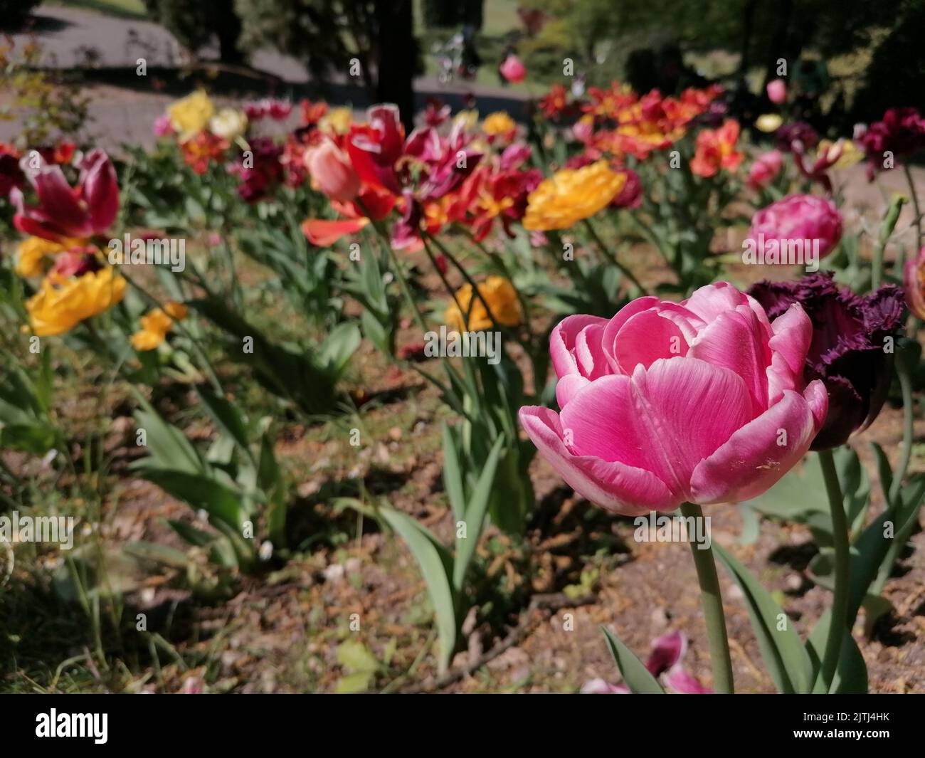 Nature, breathing clean air Stock Photo - Alamy
