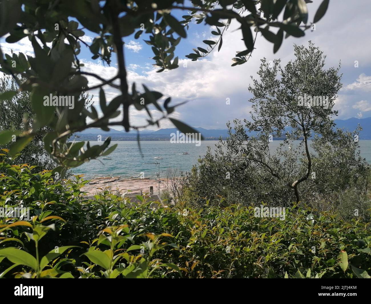 Nature, breathing clean air Stock Photo - Alamy