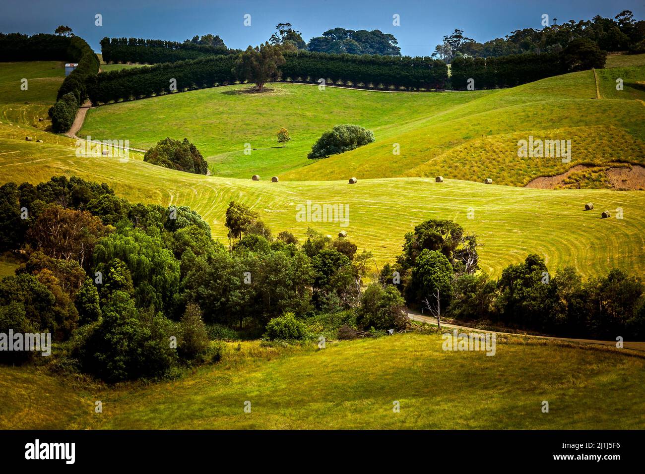 Rolling hills Gippsland landscape Strzelecki Rangers, Victoria ...