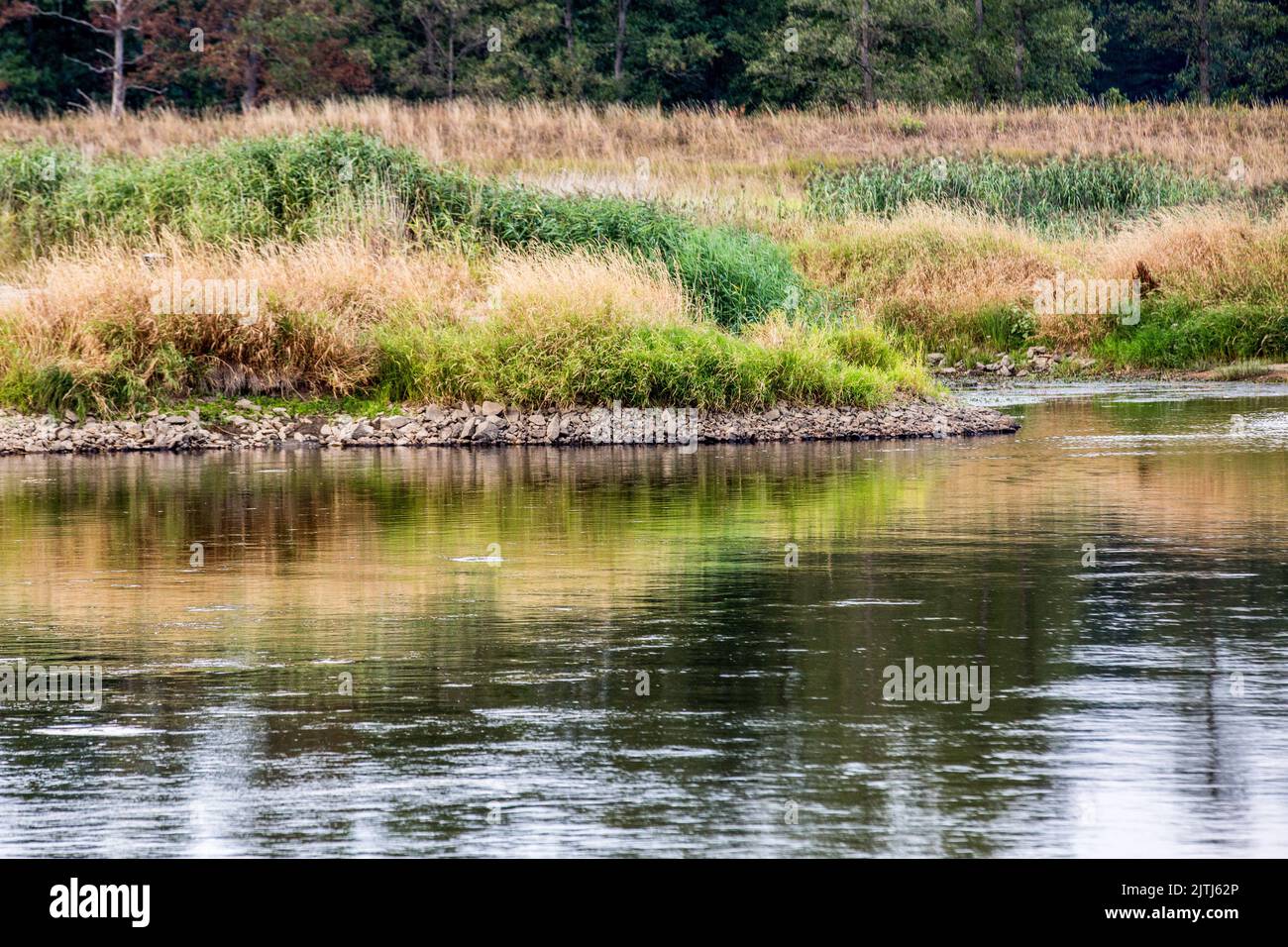 A close-up of the Oder River shoreline seen in Pomorsko. The Oder is a ...