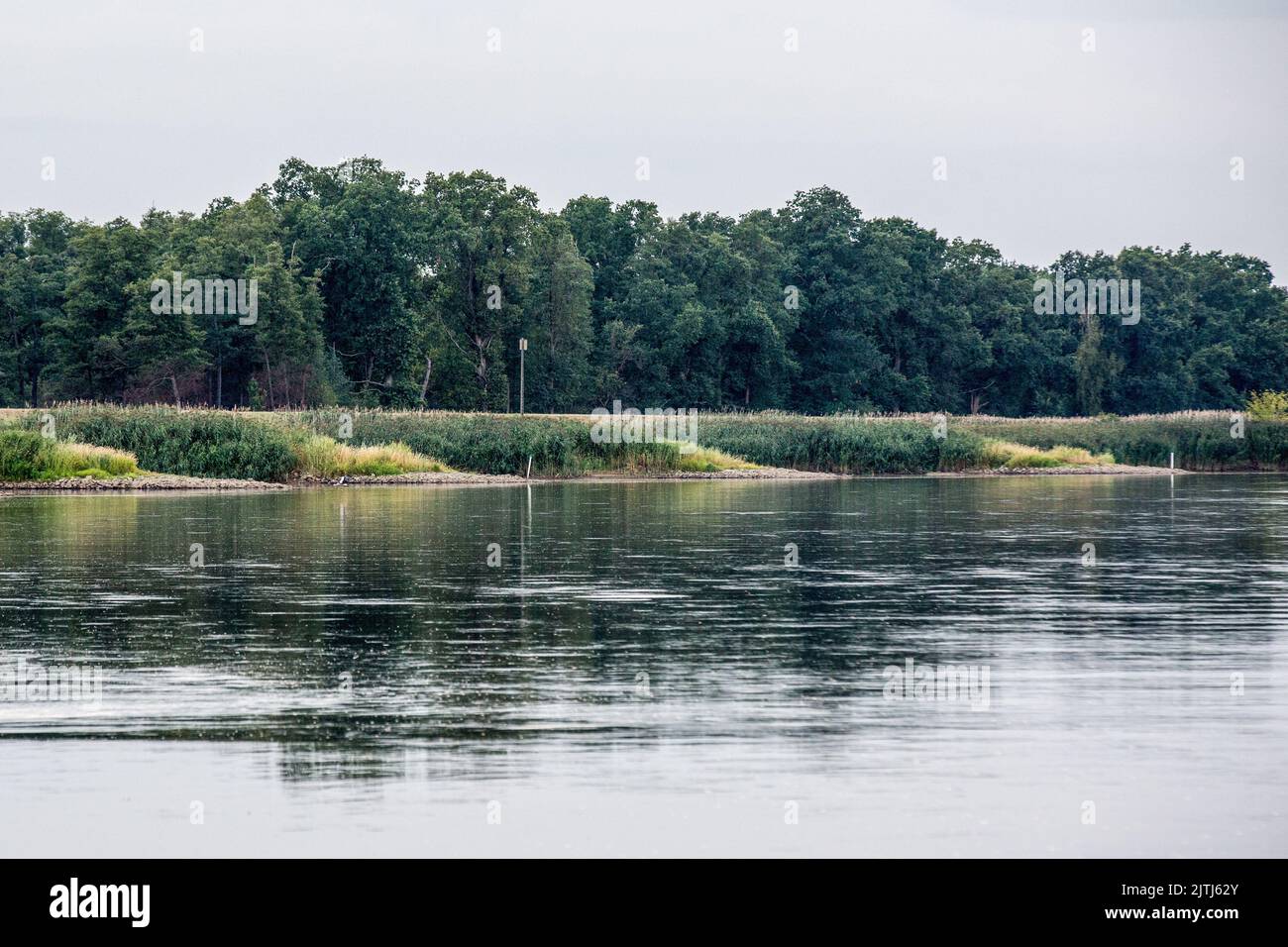 General view of the Oder River in Pomorsko. The Oder is a river in ...