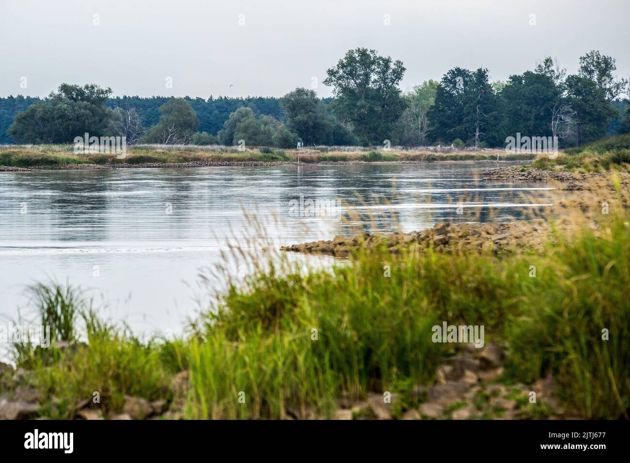 General view of the Oder River in Pomorsko. The Oder is a river in Central Europe. It is Poland ...