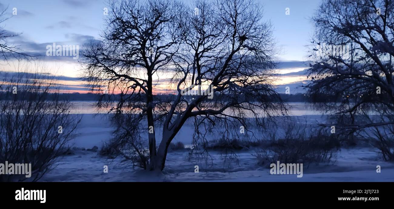 Winter nature in sunset light in the city of Riga, Latvia, East Europe ...