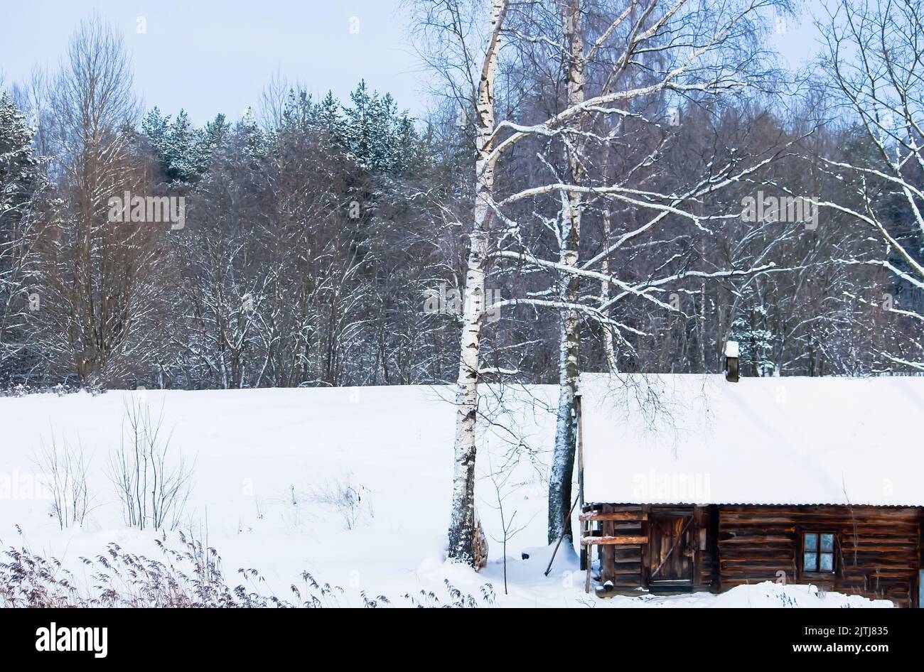 Winter nature details in the countryside. East Europe. Landscape with ...