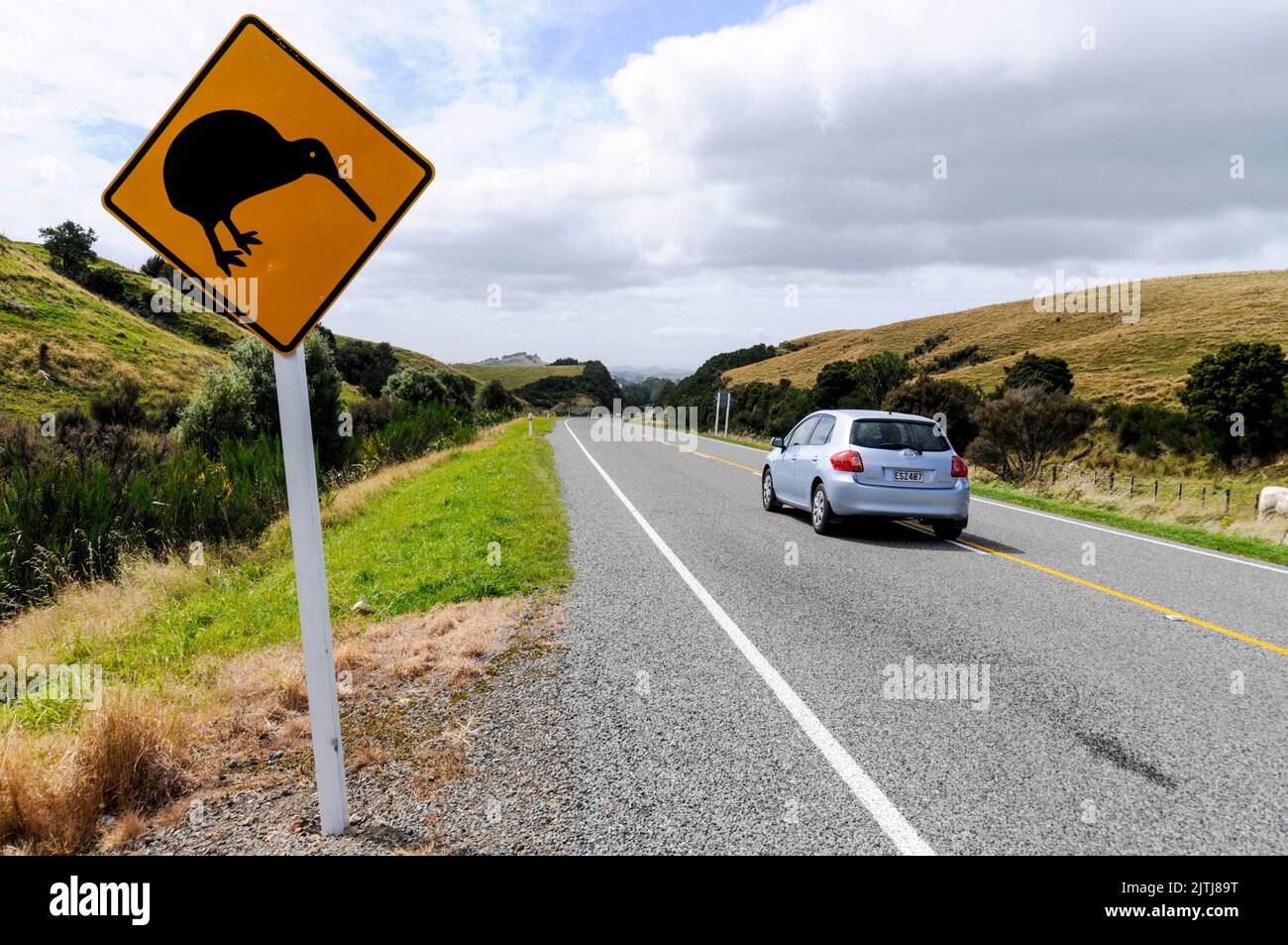 New Zealand road sign Stock Photo - Alamy