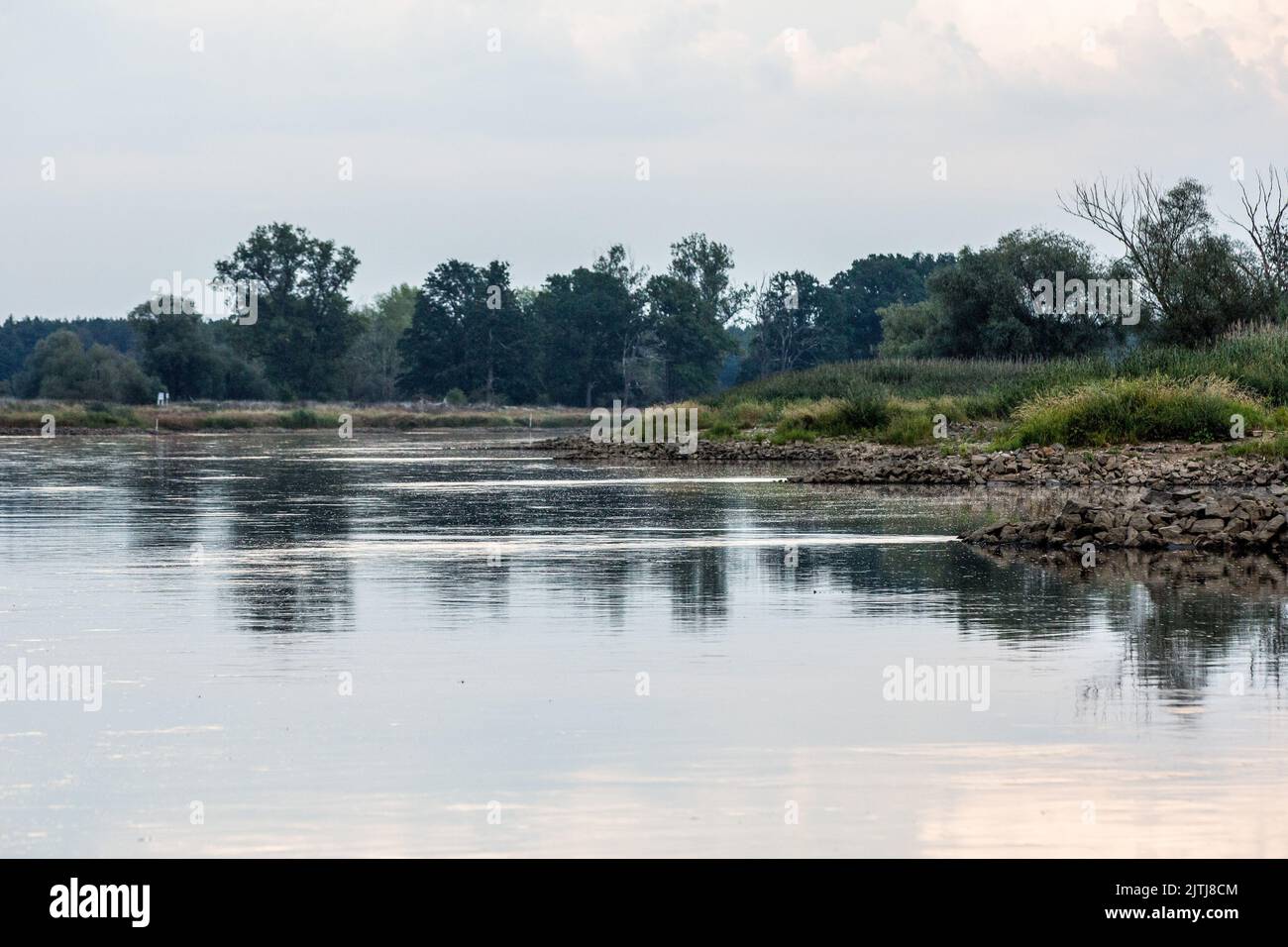 Pomorsko, Lubusz Voivodeship, Poland. 15th Aug, 2022. A close-up of the ...
