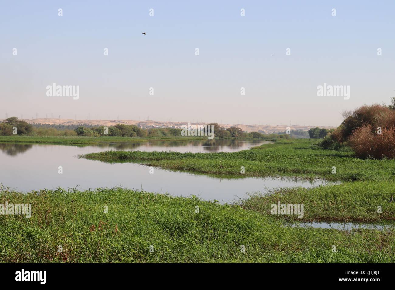 the beautiful nature of Aswan city, Egypt Stock Photo - Alamy