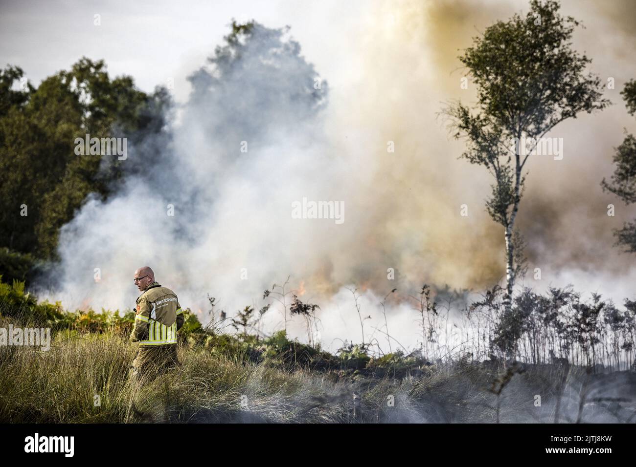 GRIENDTSVEEN - Netherlands, 2022-08-31 09:44:49 GRIENDTSVEEN - Fire ...