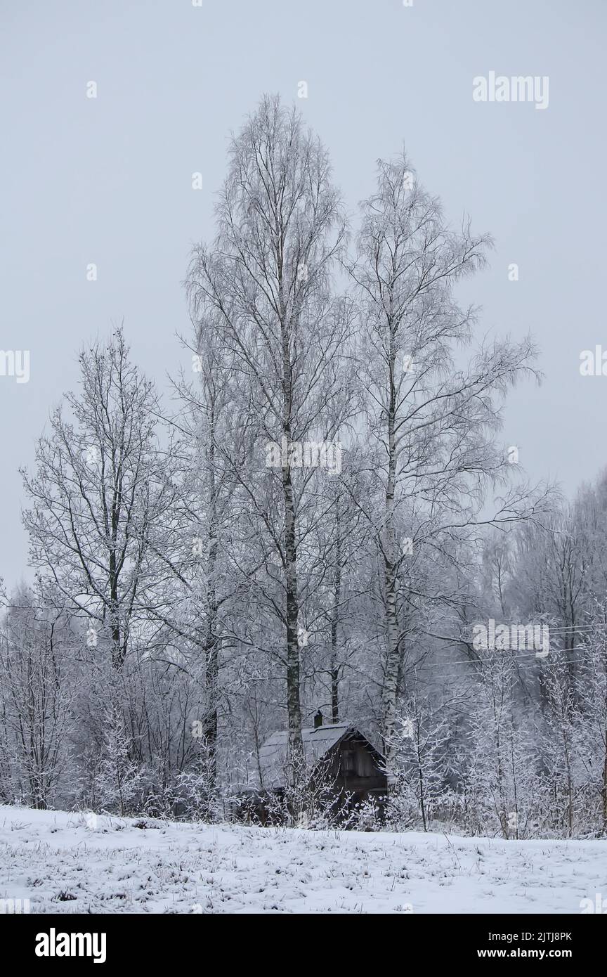 Winter nature details in the countryside. East Europe Stock Photo - Alamy