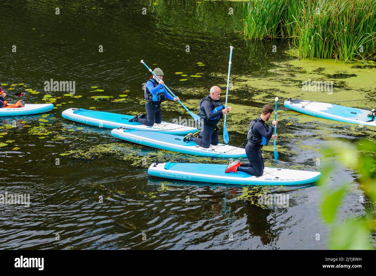 Paddle boarders on a river learning how to use the paddleboard Stock ...