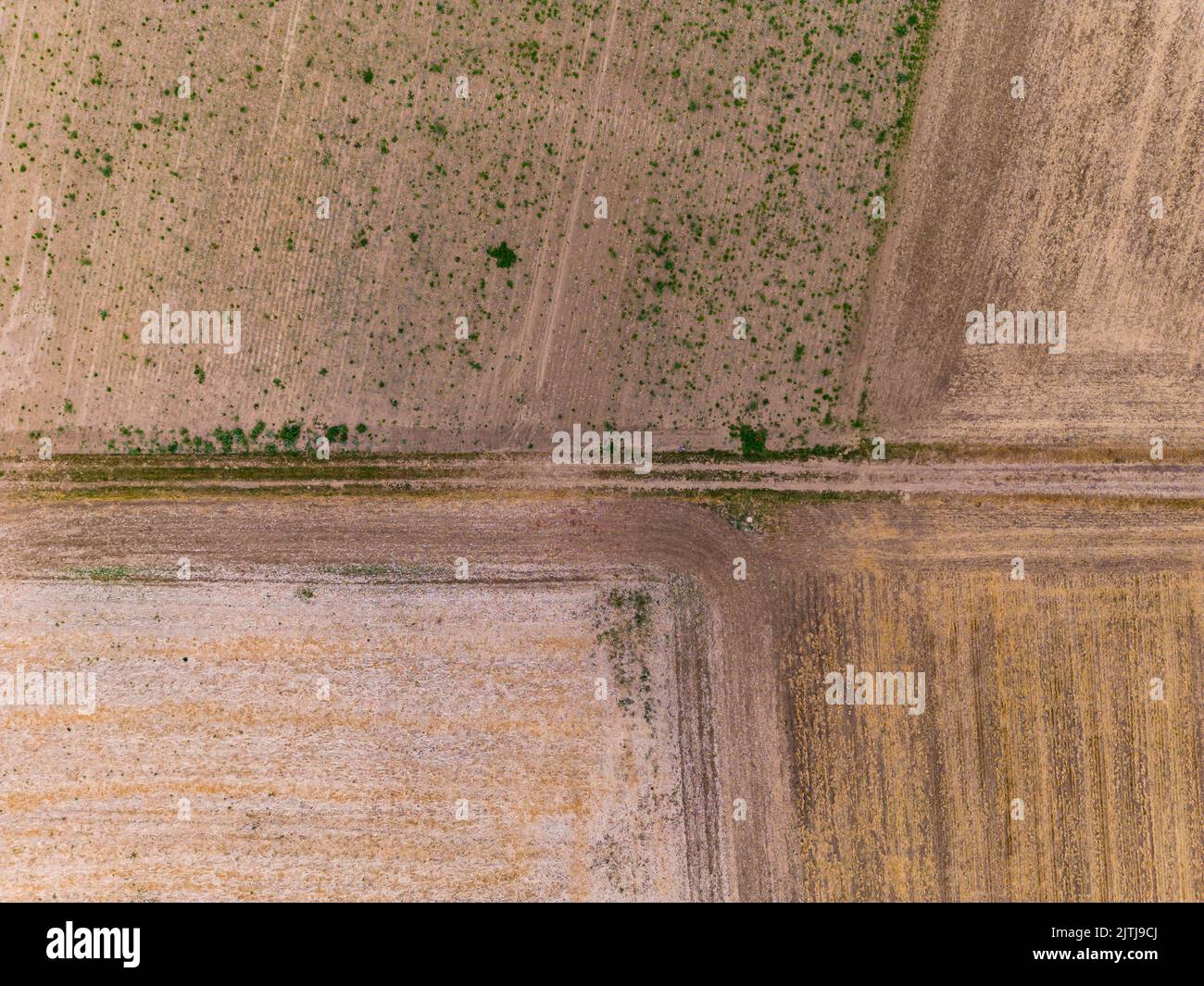A dirt road and parched fields after a heat wave and crop failure in ...