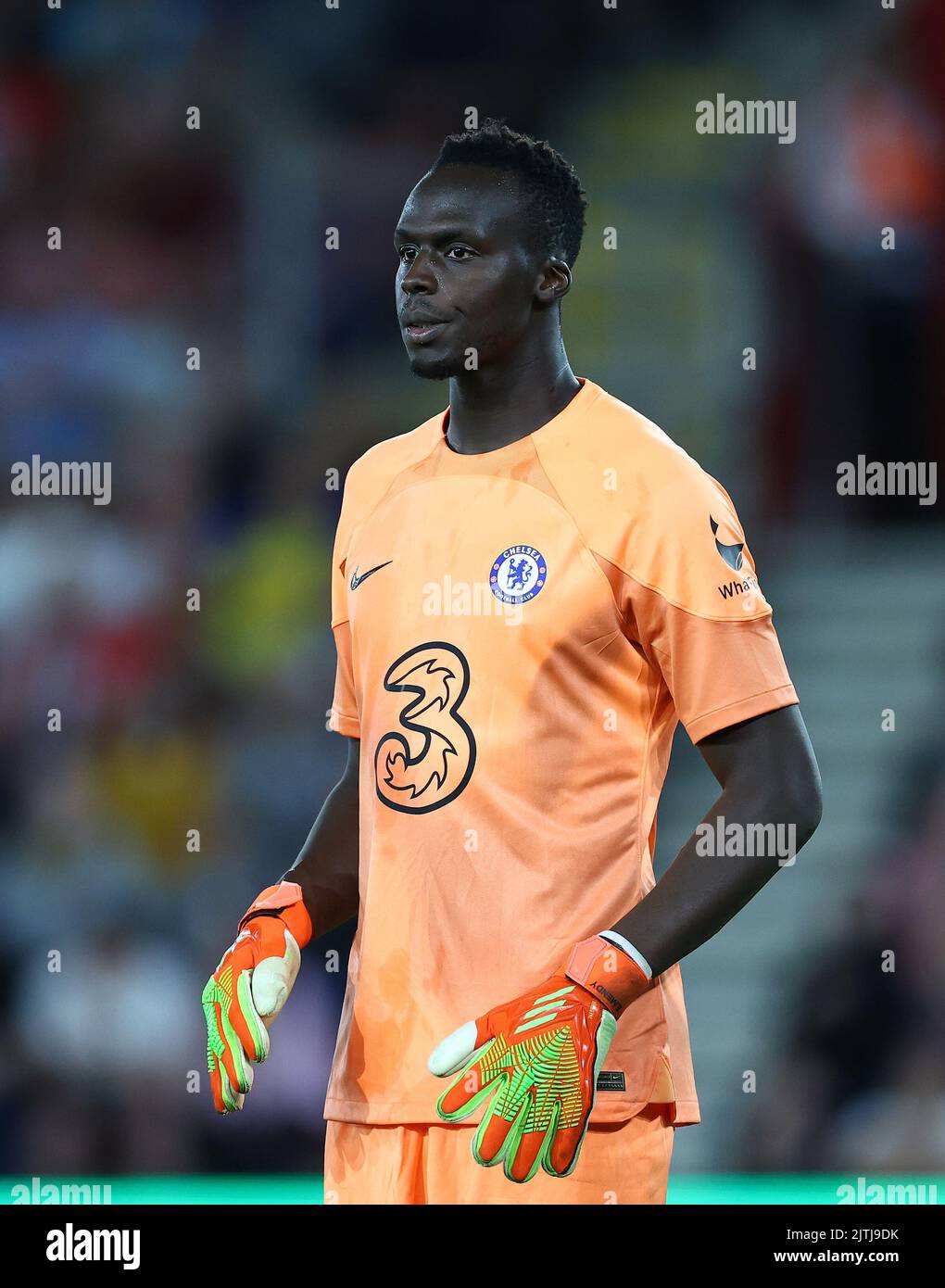 Southampton, England, 30th August 2022. Edouard Mendy of Chelsea during ...