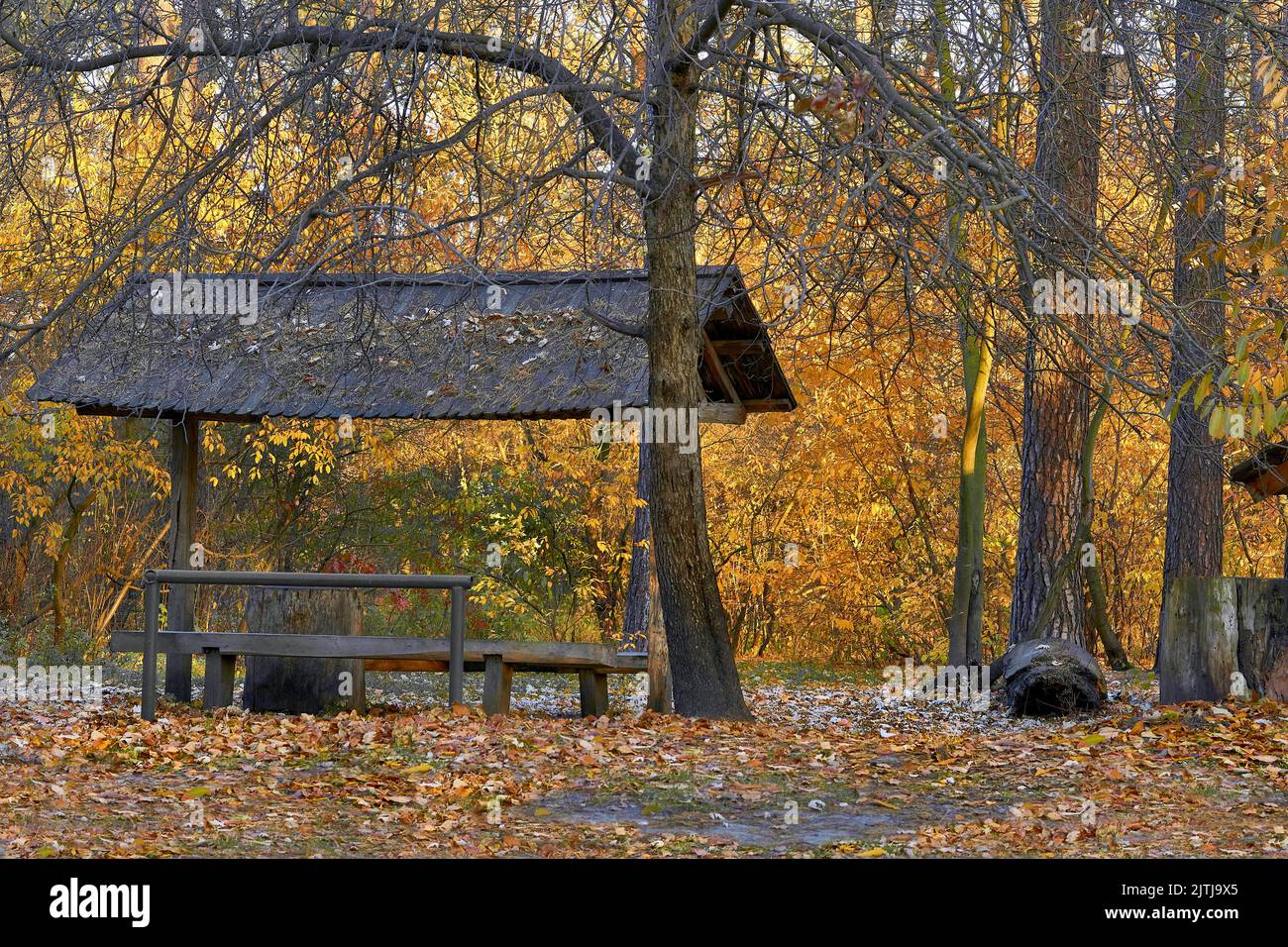 Wooden gazebo house in a forest clearing for recreation camping Stock ...
