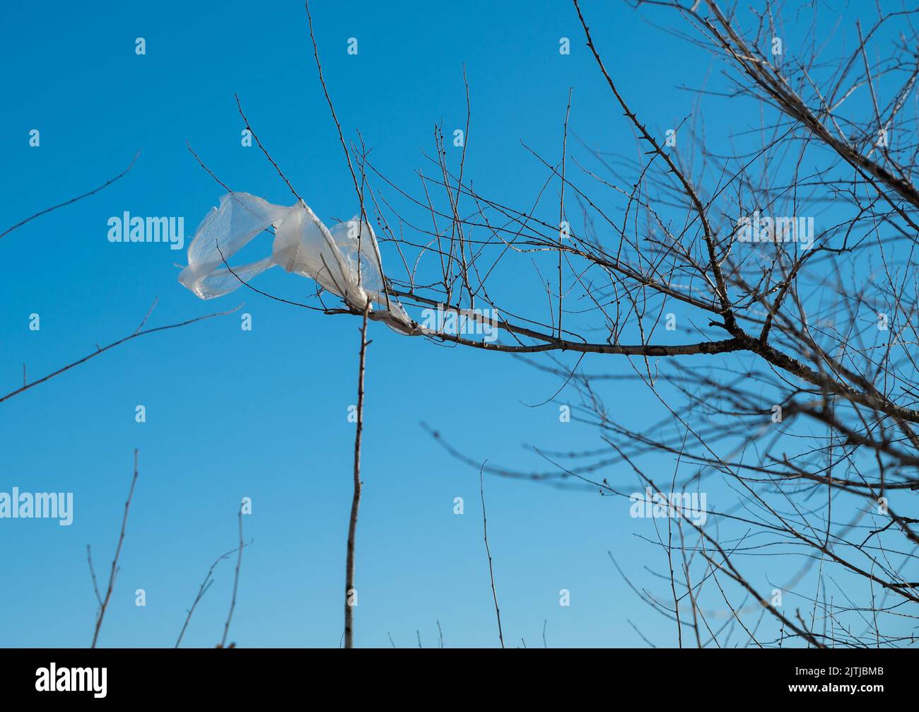 Plastic bag on a tree - nature pollution Stock Photo - Alamy