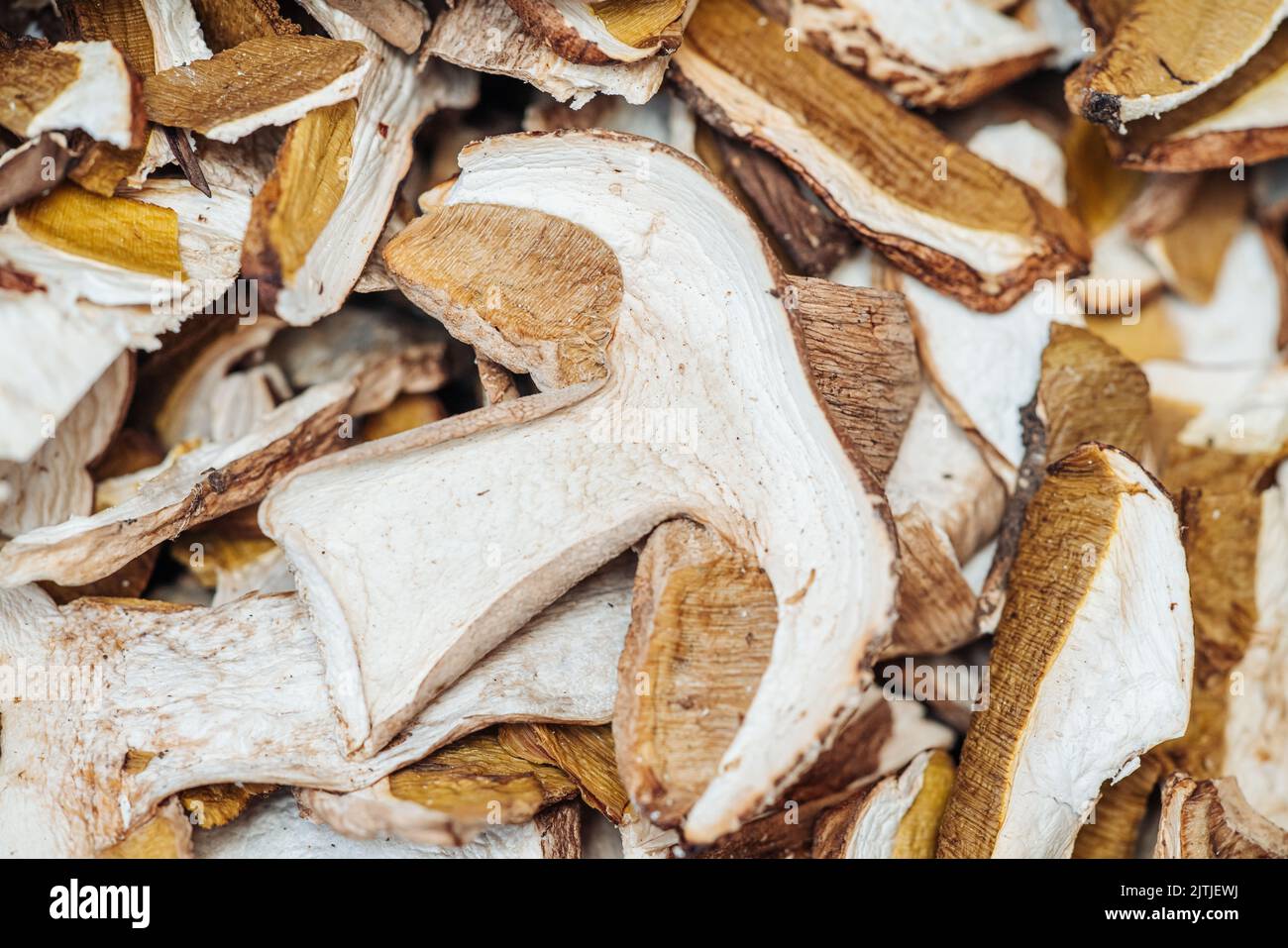 Delicious dried sliced fresh Porcini mushrooms from Italy Stock Photo ...
