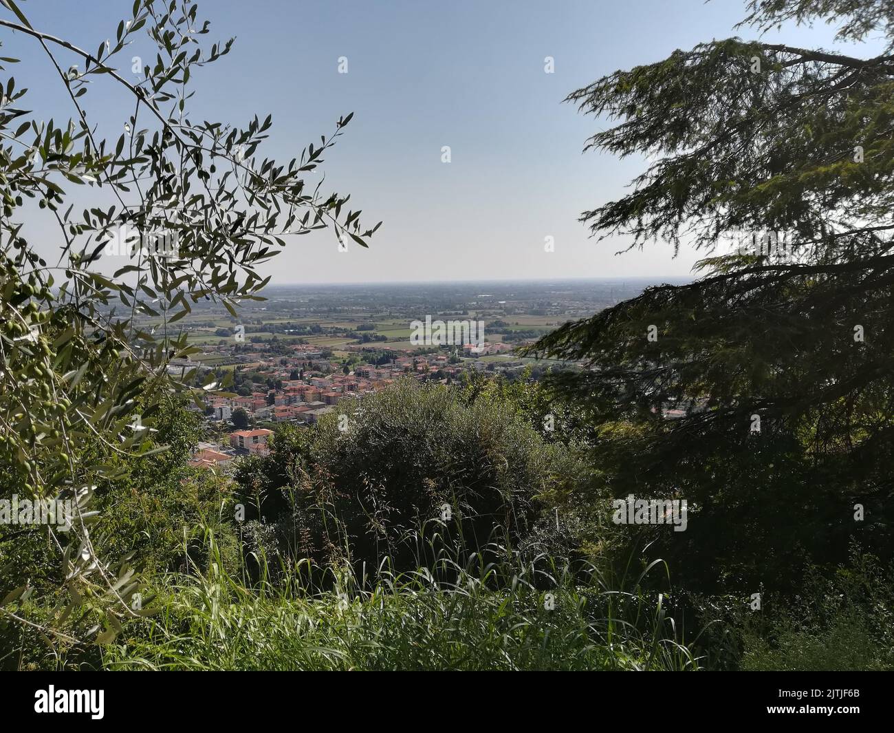 Nature, breathing clean air Stock Photo - Alamy