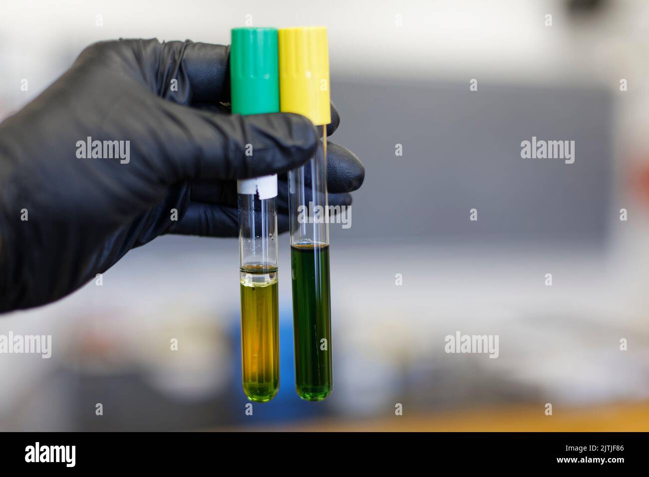 Fermentation-Oxidization test for bacterial identification showing ...