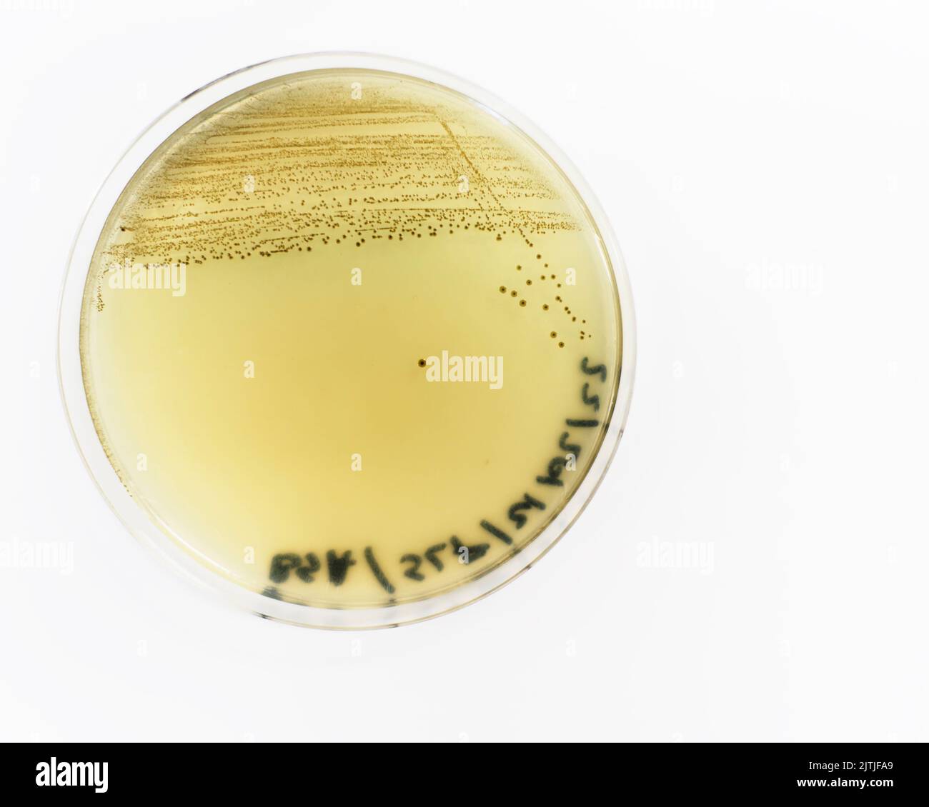 Bismuth Cut Out Stock Images & Pictures - Alamy