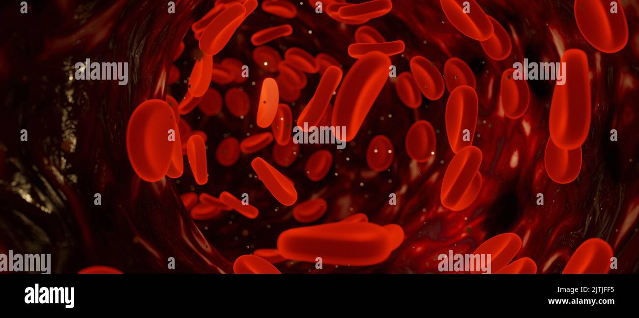 Red blood cells moving blood vessel panorama. 3D rendering Stock Photo ...