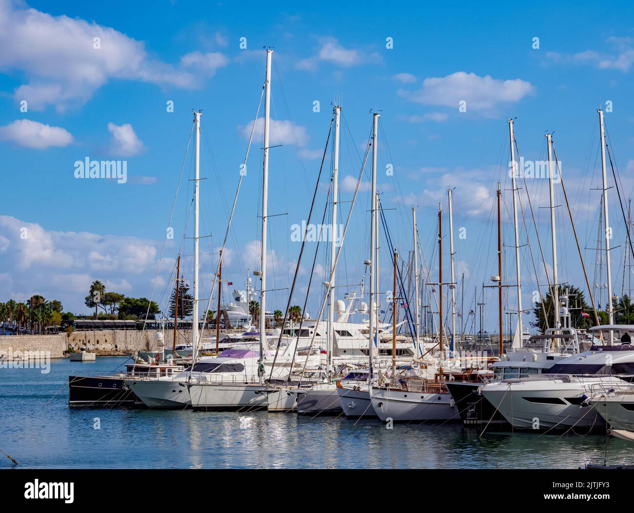D marin zea marina hi-res stock photography and images - Alamy