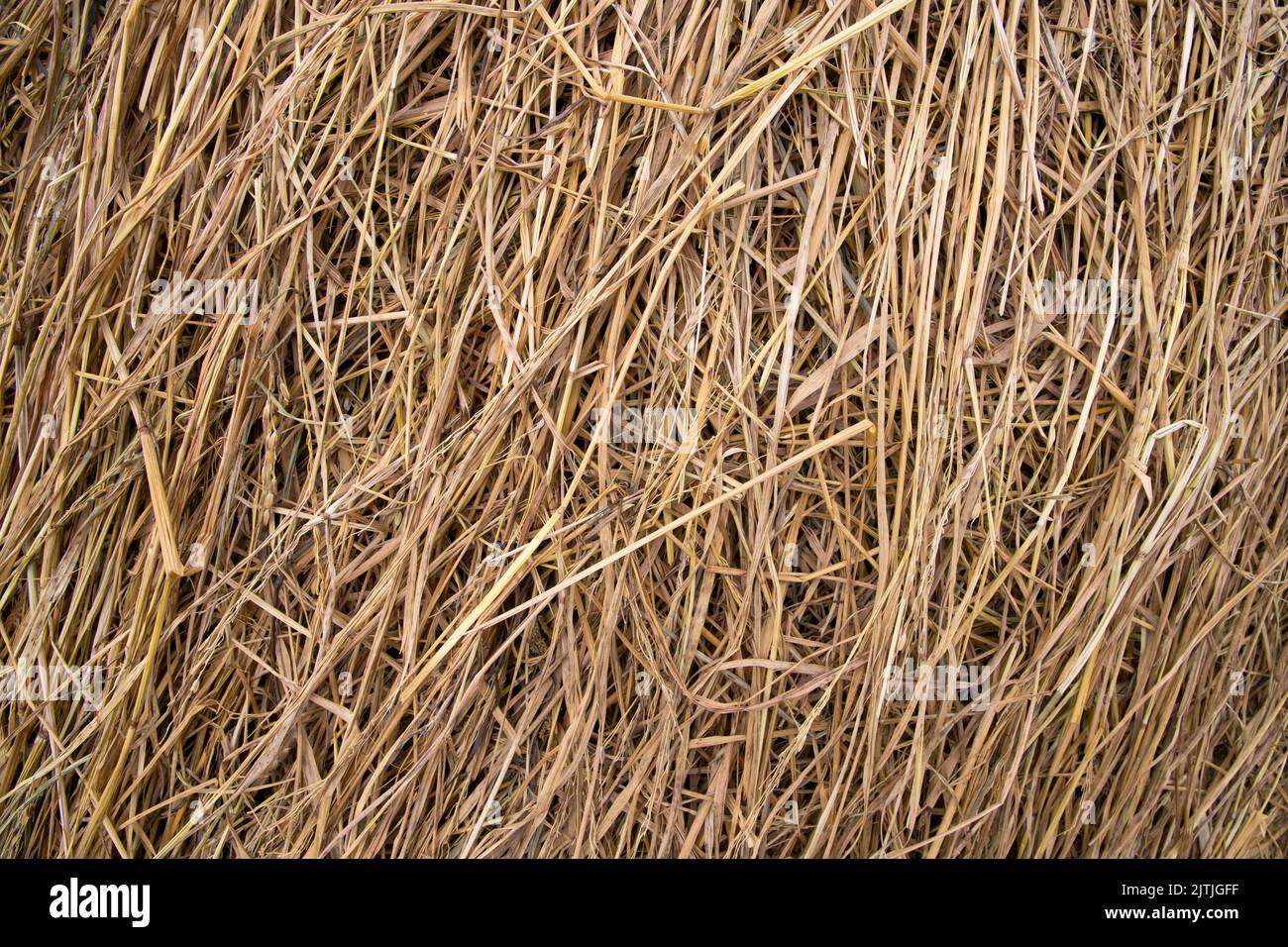 Brown hay, dry hay texture background Stock Photo - Alamy