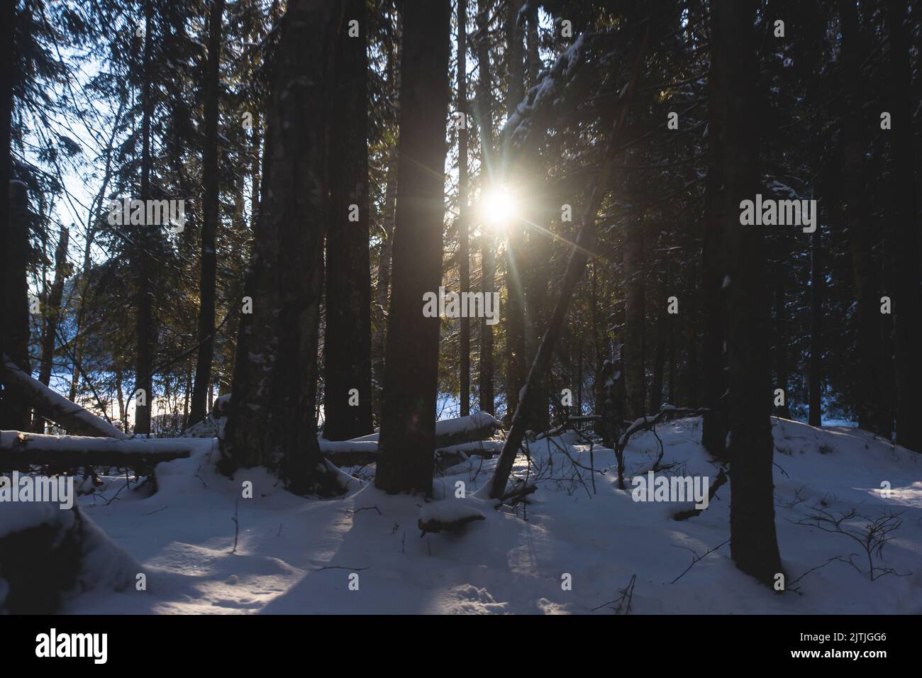 Repovesi National Park, aerial winter view, landscape view of a finnish ...