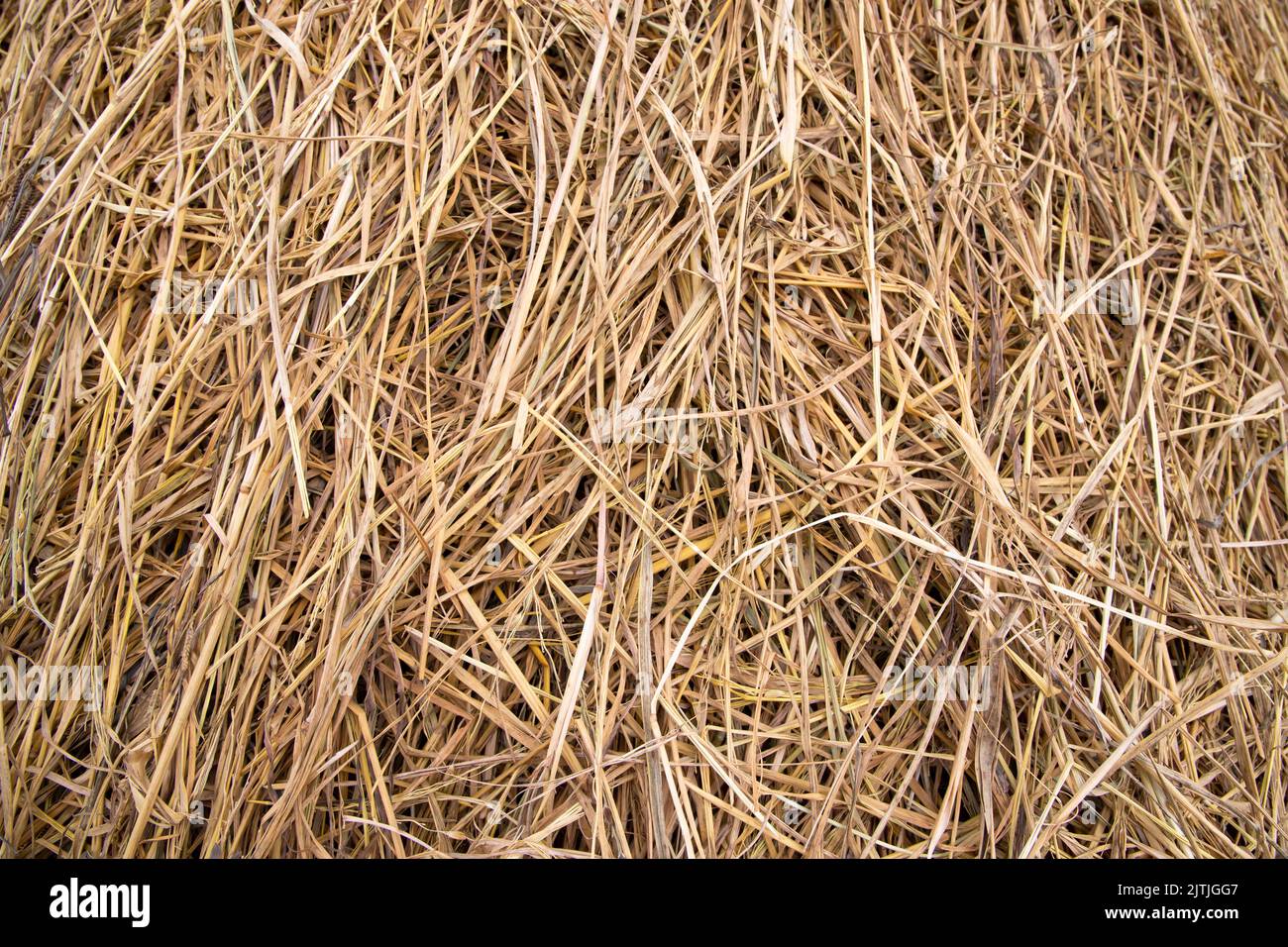 Brown hay, dry hay texture background Stock Photo - Alamy