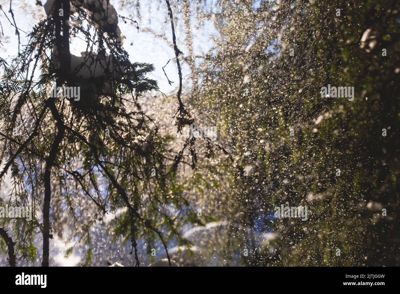 Repovesi National Park, aerial winter view, landscape view of a finnish ...