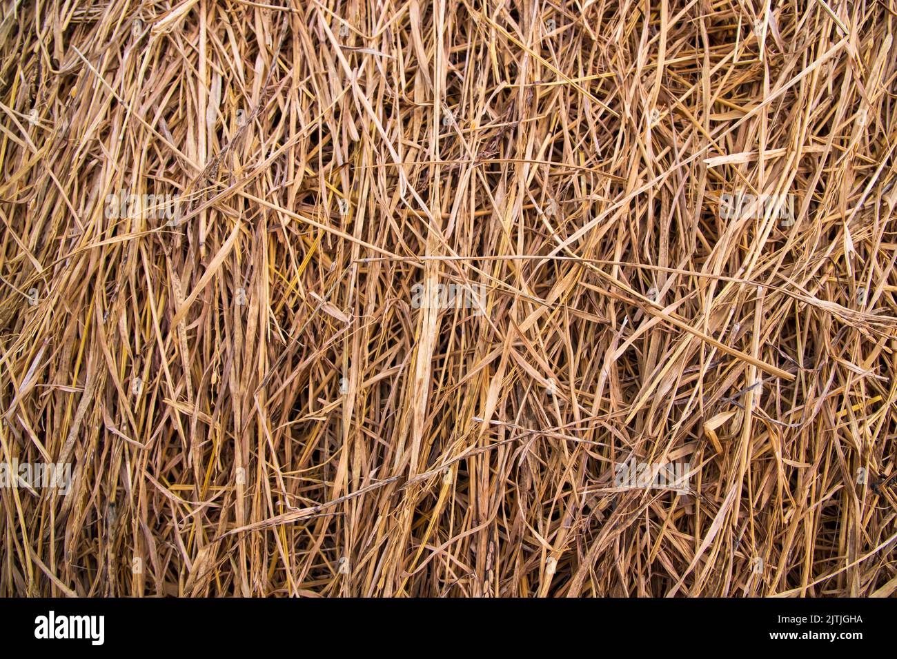 Brown hay, dry hay texture background Stock Photo - Alamy