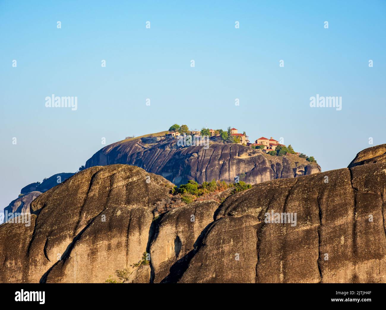 Metamorfoses hi-res stock photography and images - Alamy