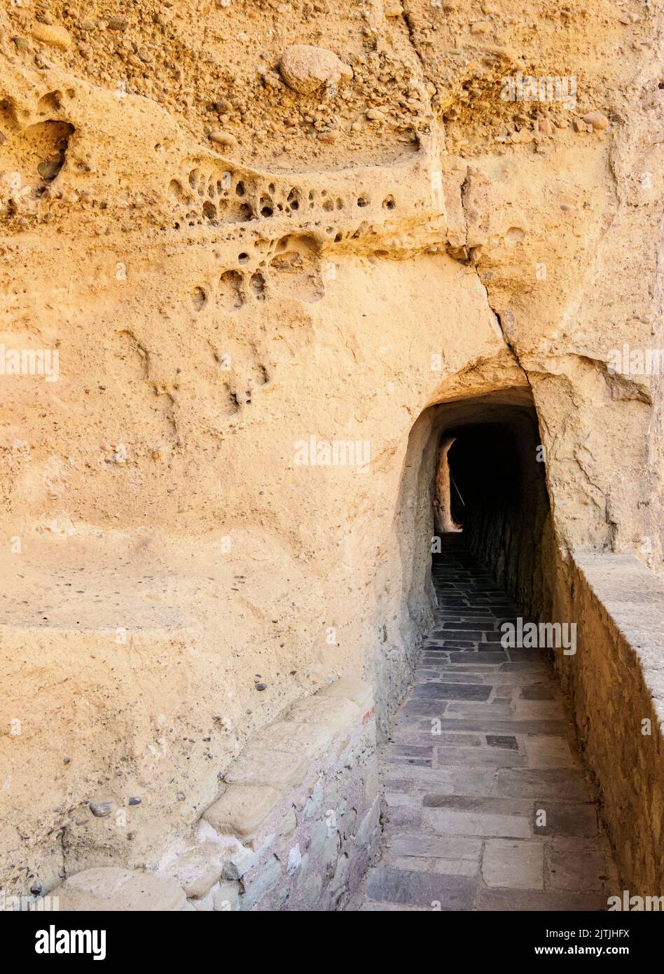 Metamorfoses hi-res stock photography and images - Alamy